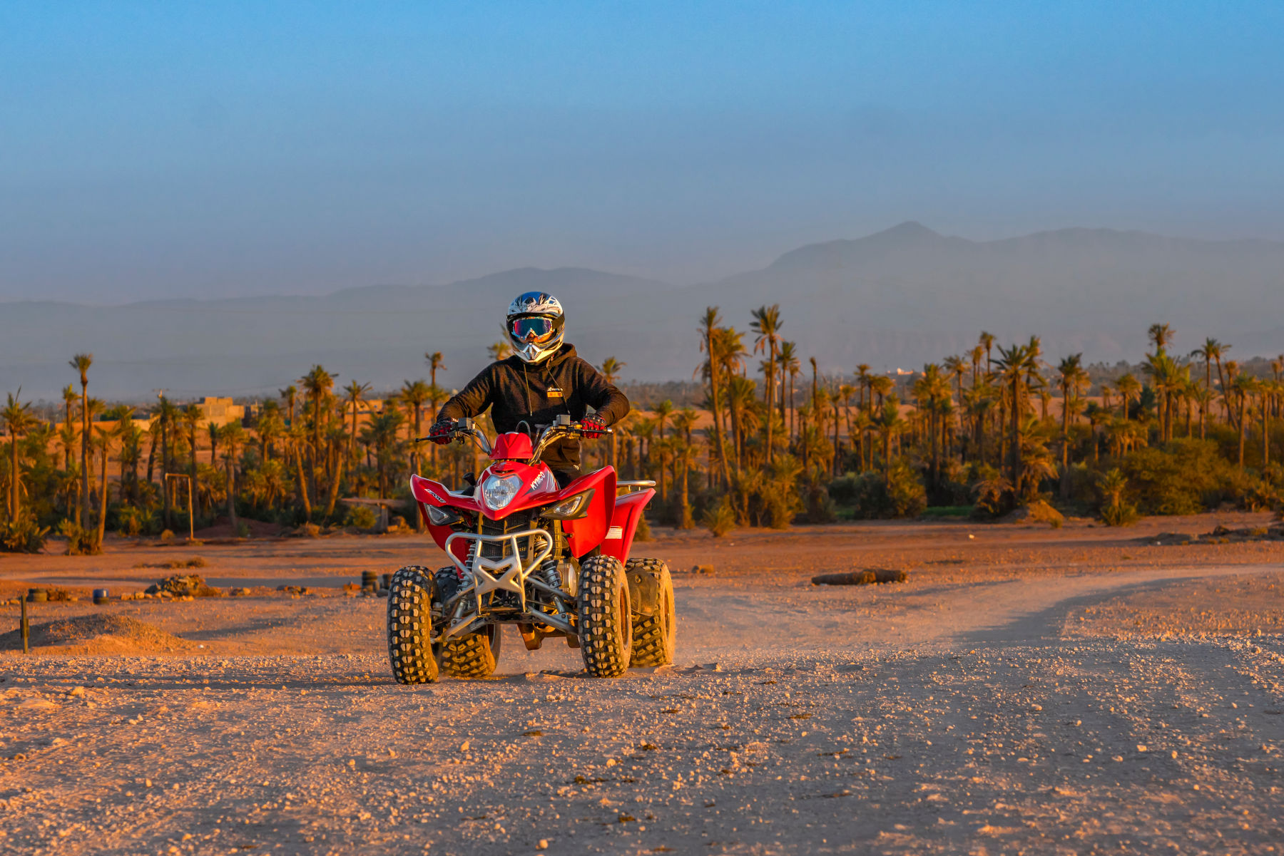 Quad Ride in Marrakech Palm grove - Gray Line Morocco